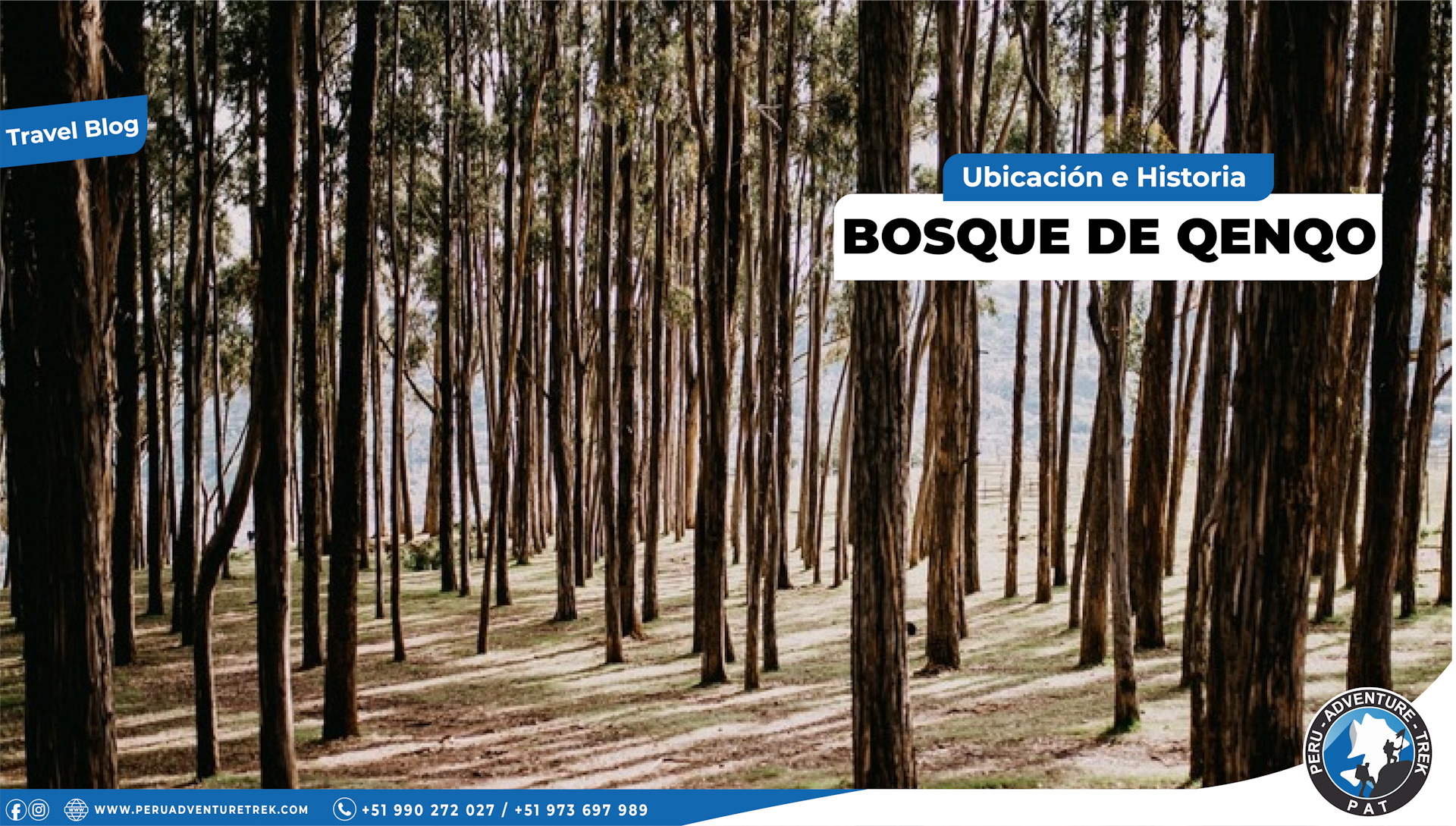 Bosque de Qenqo: Ubicación e Historia - Blog Peru Adventure Trek